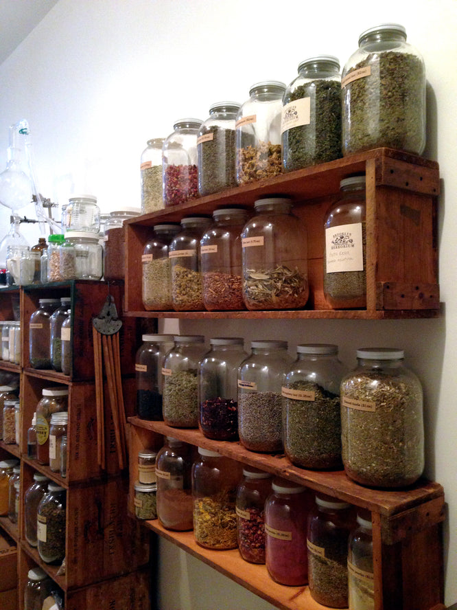 Contact – Brooklyn Herborium