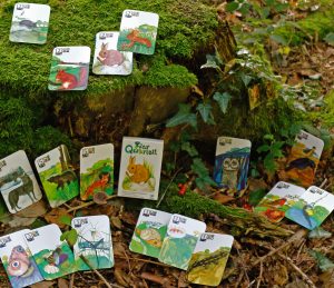 Animal Quartet Card Game – Brooklyn Herborium