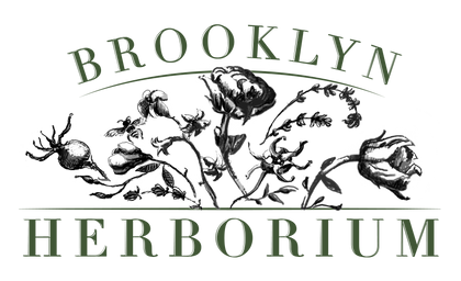 Body Work – Brooklyn Herborium